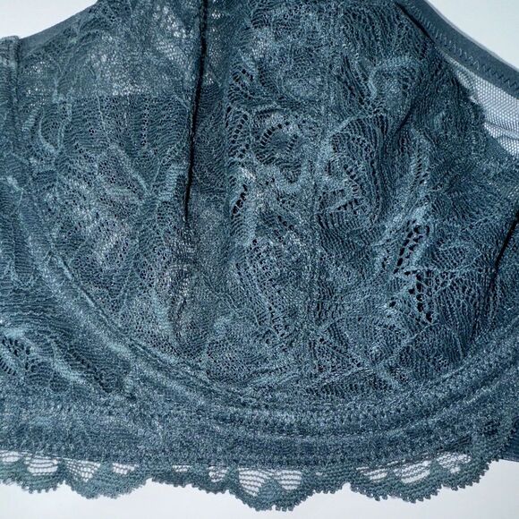 Intimates & Sleepwear | Hsia Enchante Lace Minimizer Underwire Sheer ...